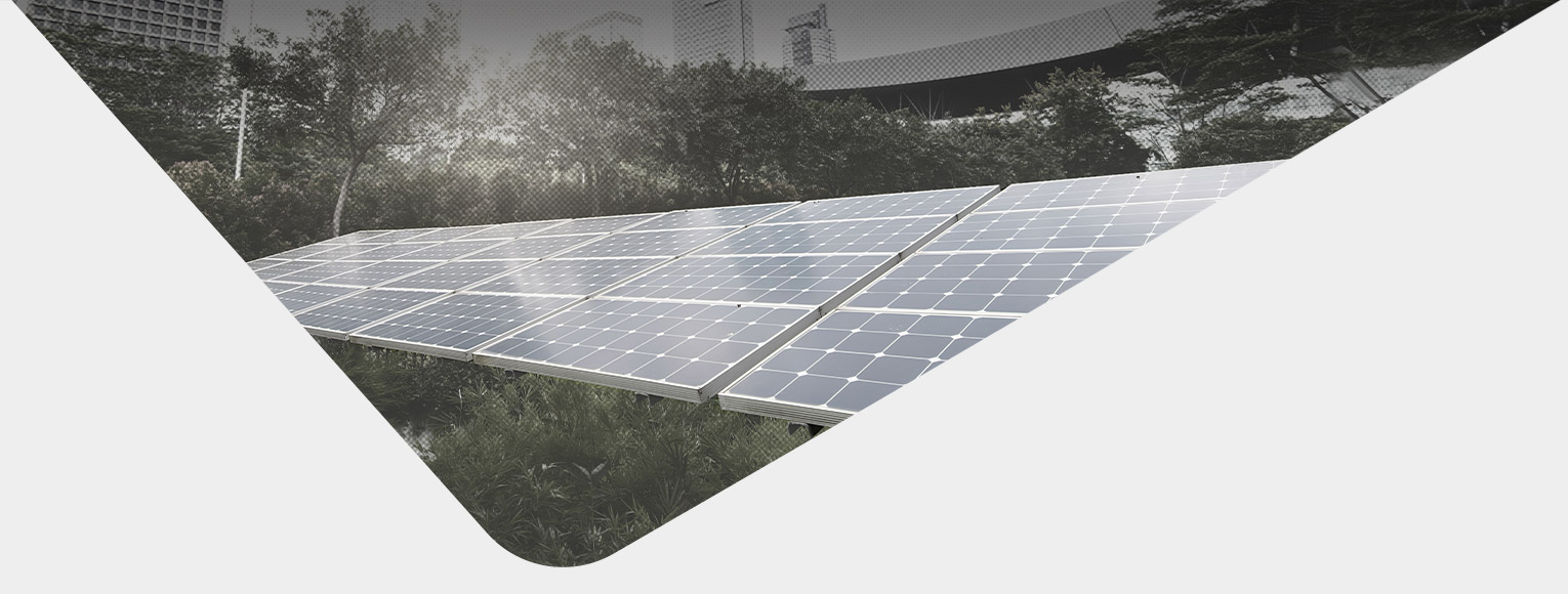 News & Insights | Greenbox Australia