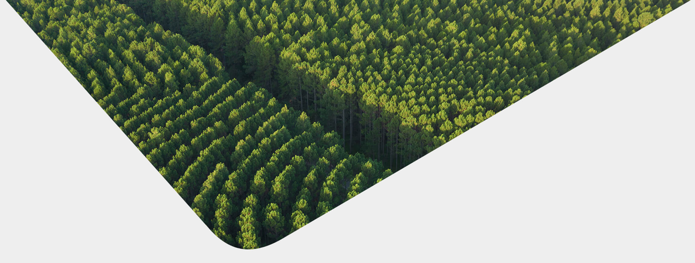 Sustainable IT Lifecycle Solutions | Greenbox Australia